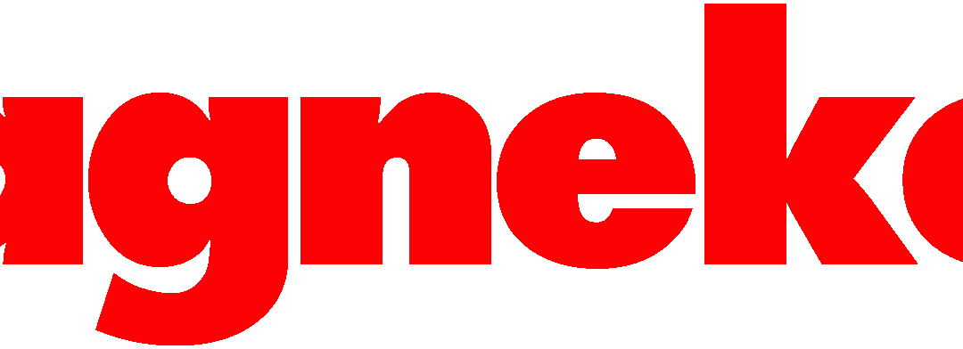 Magnekon | Ridgway Machines